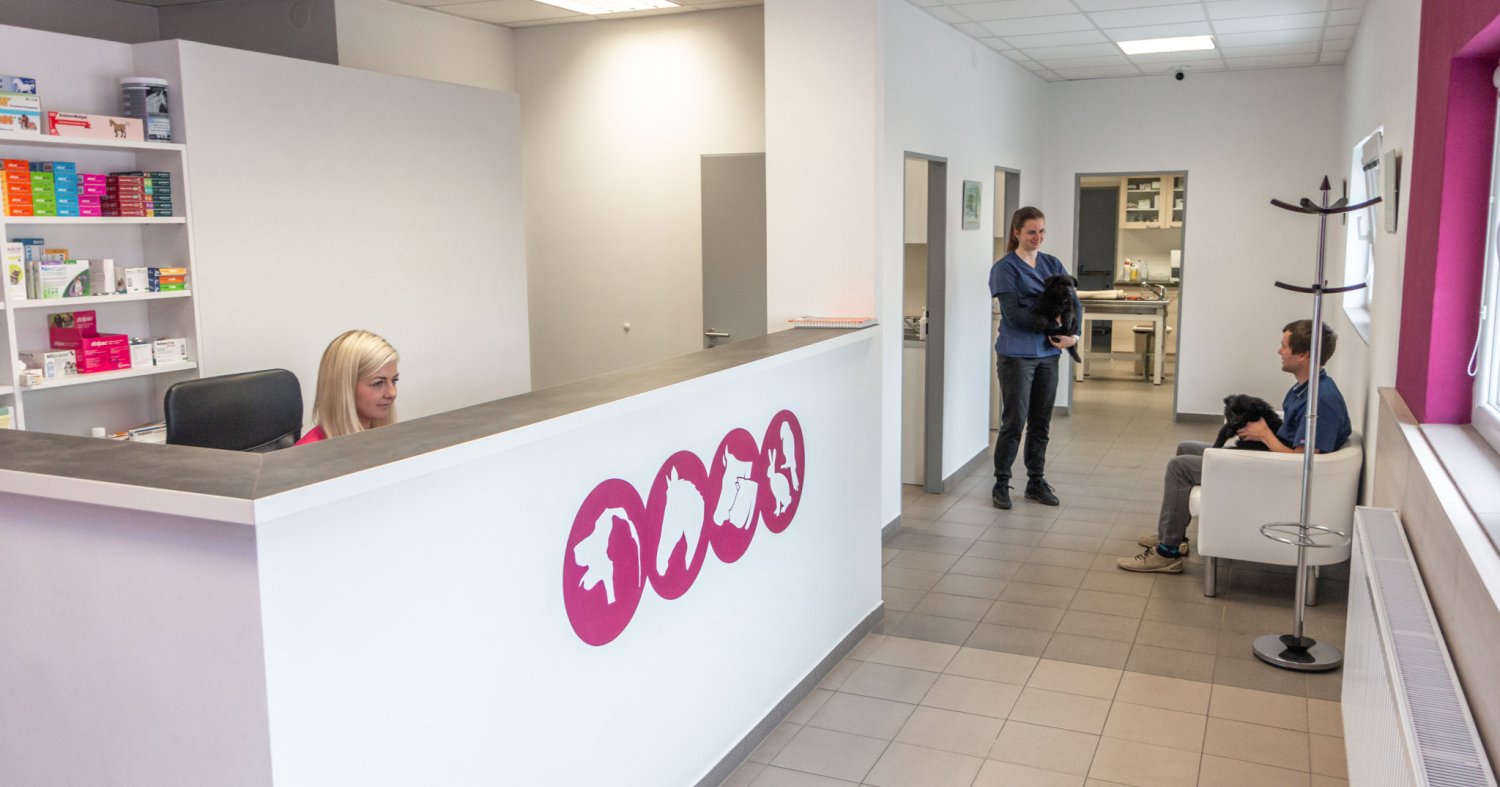 Kontakt – Veterina Forea Lanškroun
